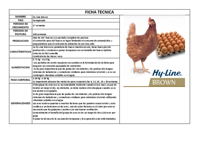 FICHA TECNICA Hy Line Brown | PDF