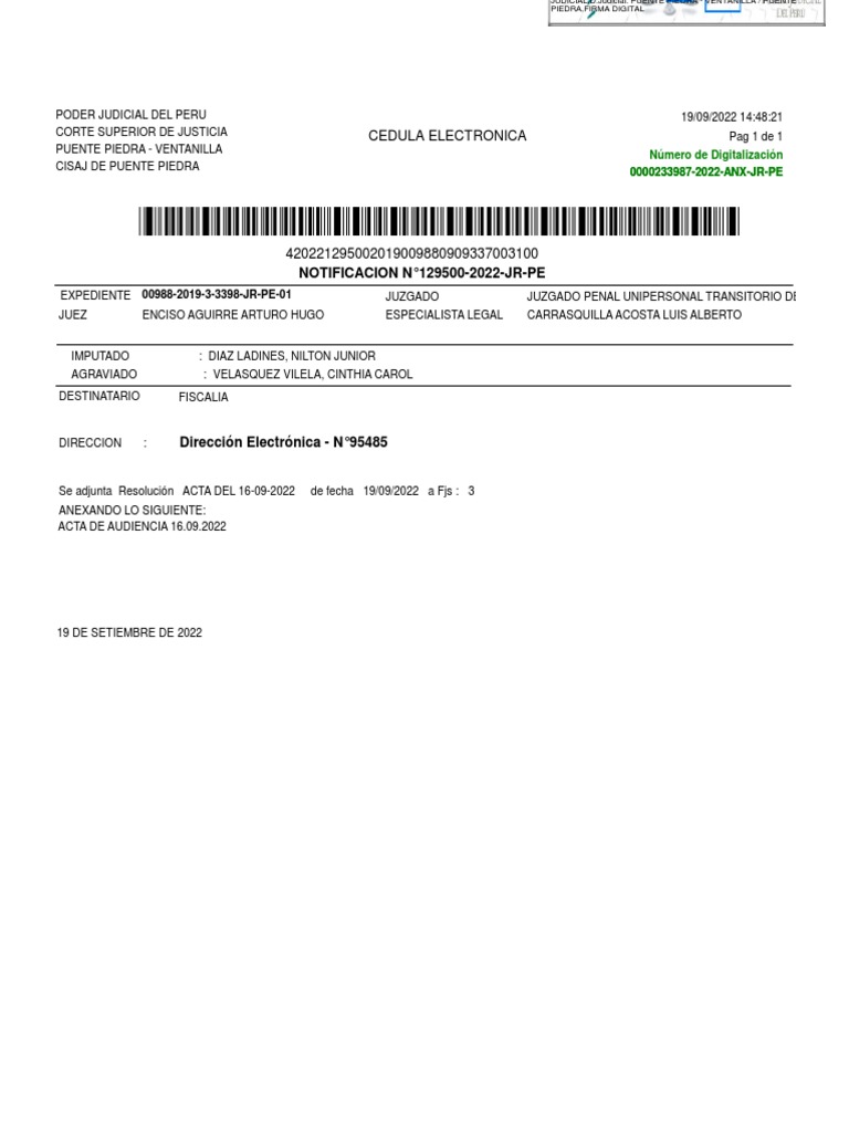 Cedula de Notificación Electrónica | PDF | Justicia penal | Crimen y violencia