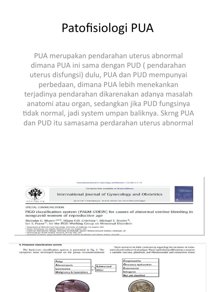 Patofisiologi PUA | PDF
