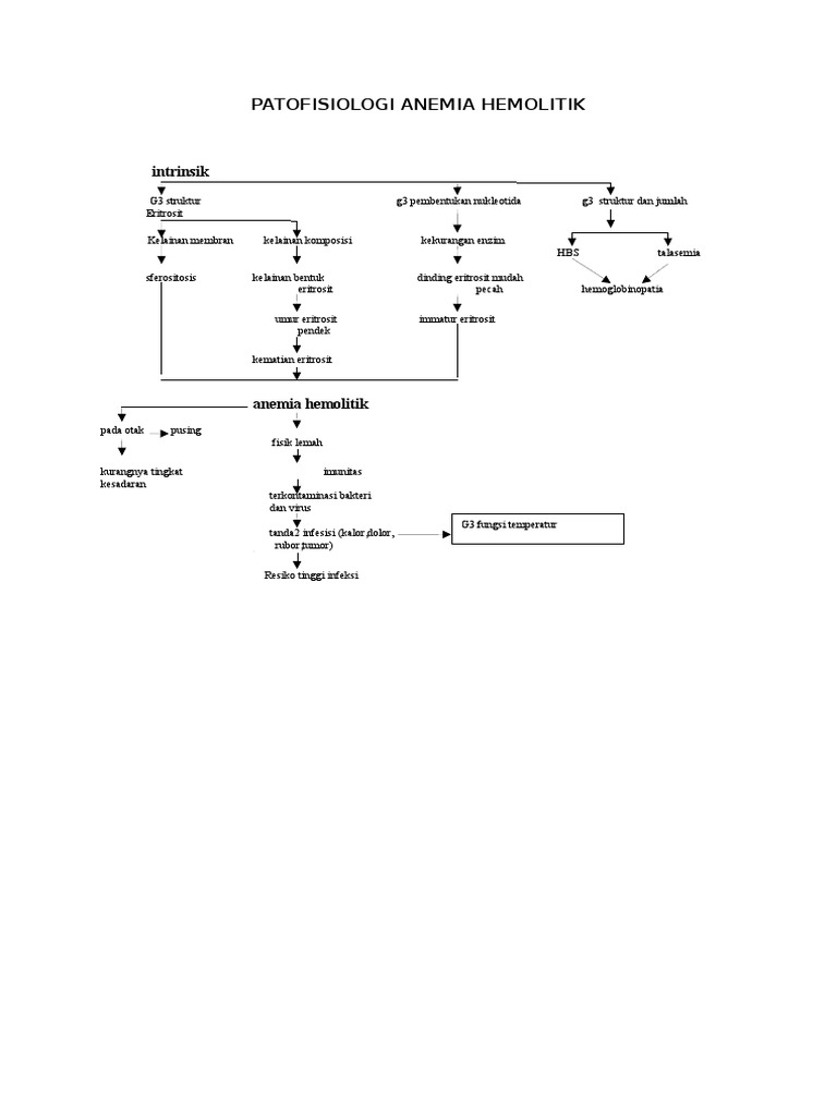 Patofisiologi Anemia Hemolitik | PDF