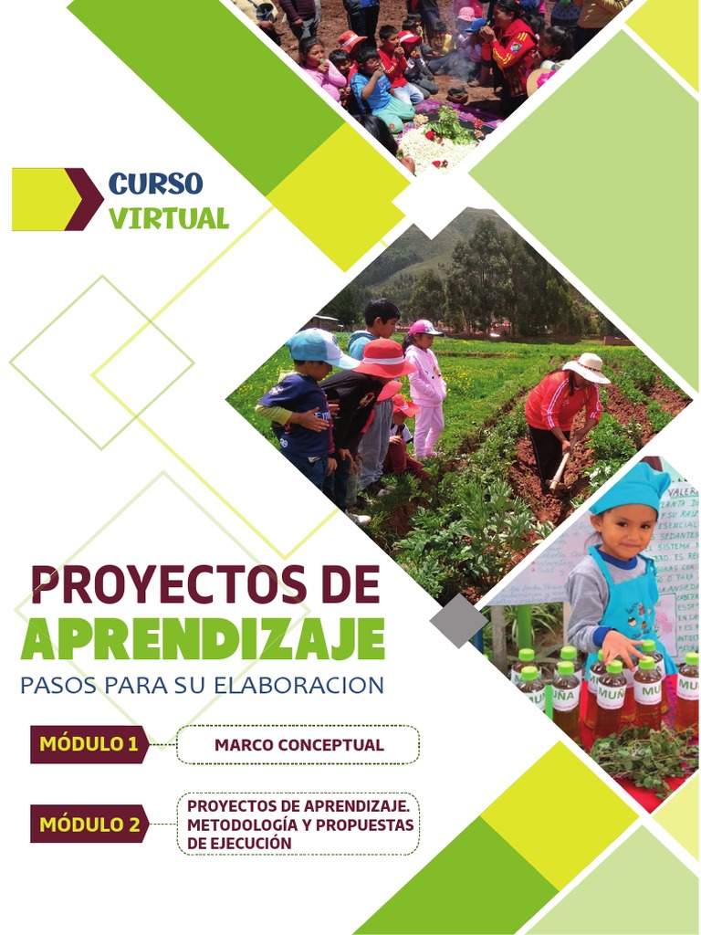 Proyectos de Aprendizaje Curso | PDF | Aprendizaje | Plan de estudios