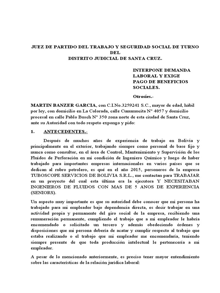 Modelo Demanda Laboral | PDF | Derecho laboral | Salario