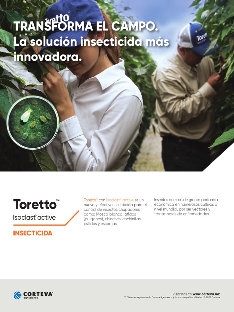 Toretto | PDF | Insectos | Agricultura