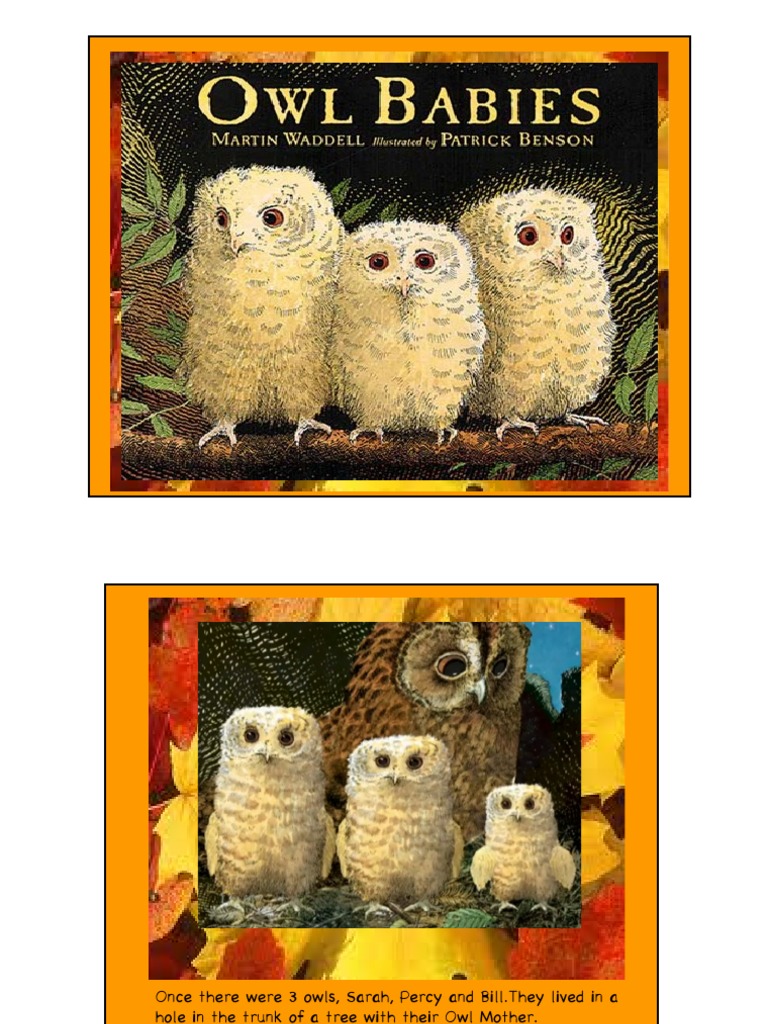 Owl Babies Story | PDF