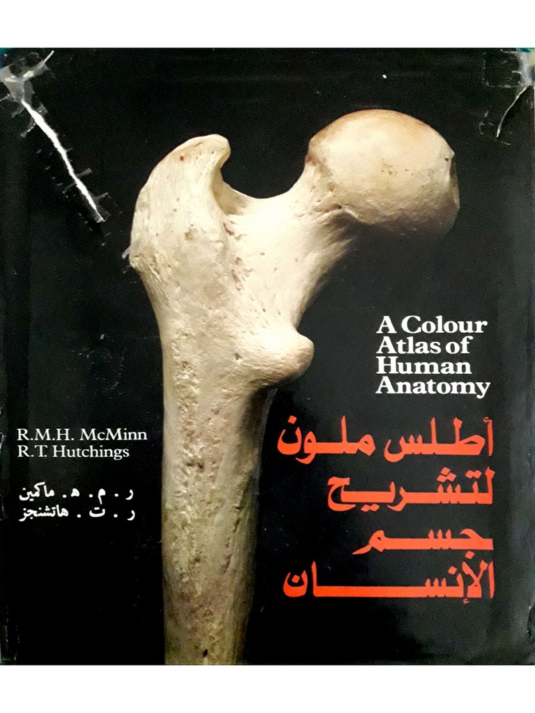 A Colour Atlas of Human Anatomy - Arabic | PDF