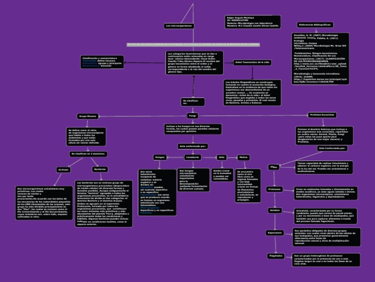Mapa Conceptual de Isomeria-Edgar Angulo-00000219789 | PDF | Hongo ...