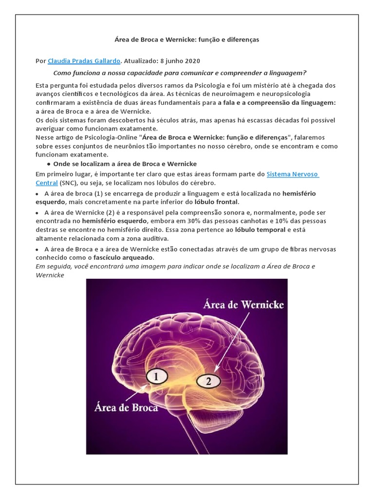Área de Broca e Wernicke | PDF | Neuropsicologia | Cérebro