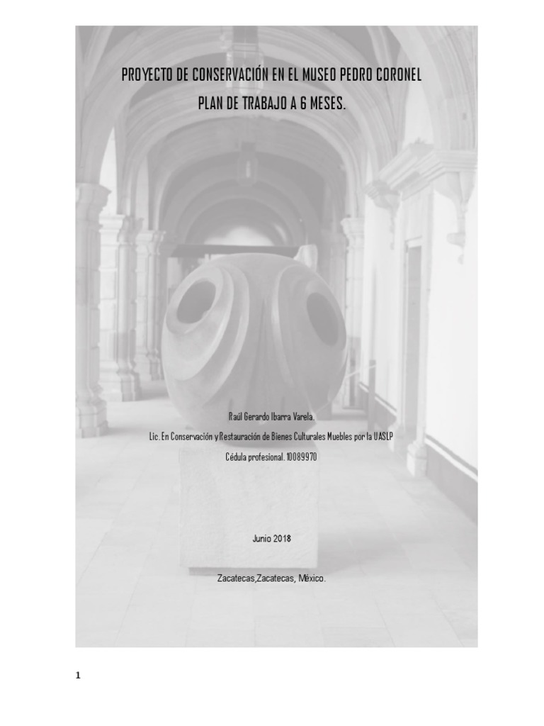 Proyecto de Conservación 6 Meses en El Museo Pedro Coronel | PDF