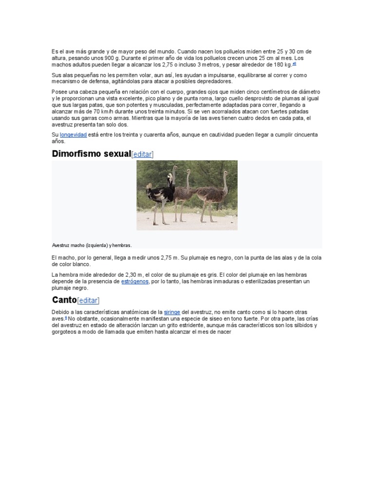 Avestruz | PDF | Hogar, jardinería y bricolaje | Ciencia y matemáticas