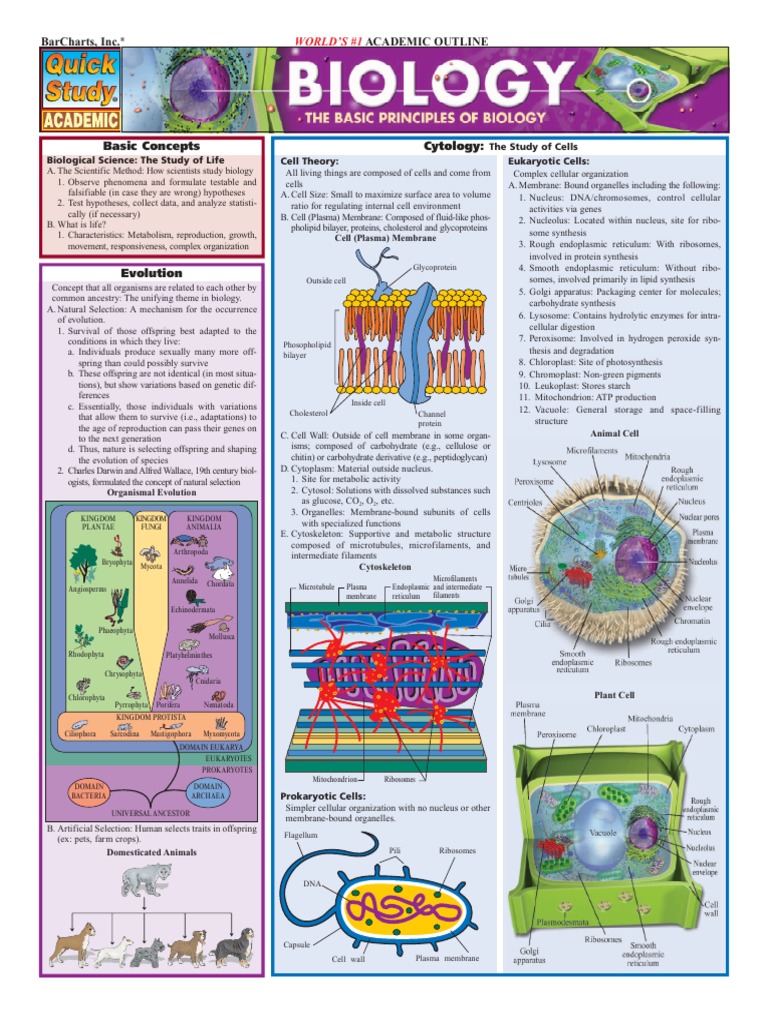 Biology - Basic Principles | PDF