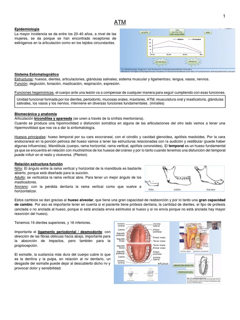 ATM 1 y 2 | Descargar gratis PDF | Sistema musculoesquelético ...