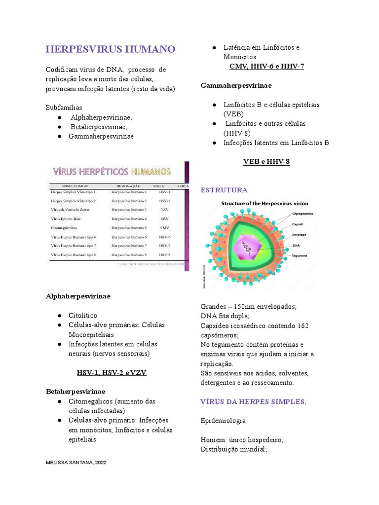 Herpes Virus | PDF | Herpes simples | Vírus