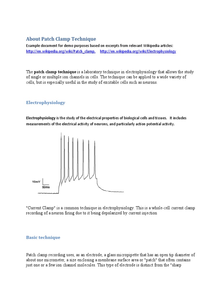 Matlab Patch Clamp Technique Pdf Electrophysiology Electricity 