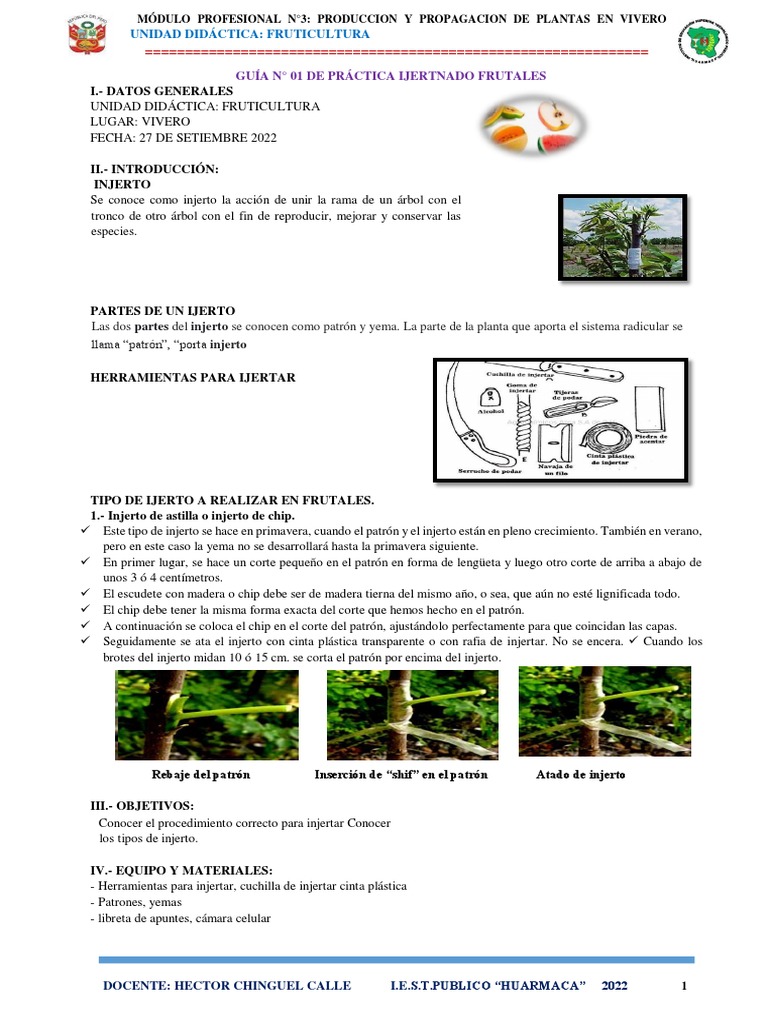 Guia de Práctica Fruticultura | PDF | Injerto | Plantas