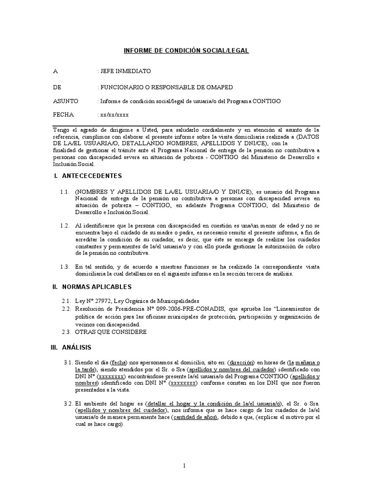 Modelo de Informe Social-Legal | PDF | Gobierno