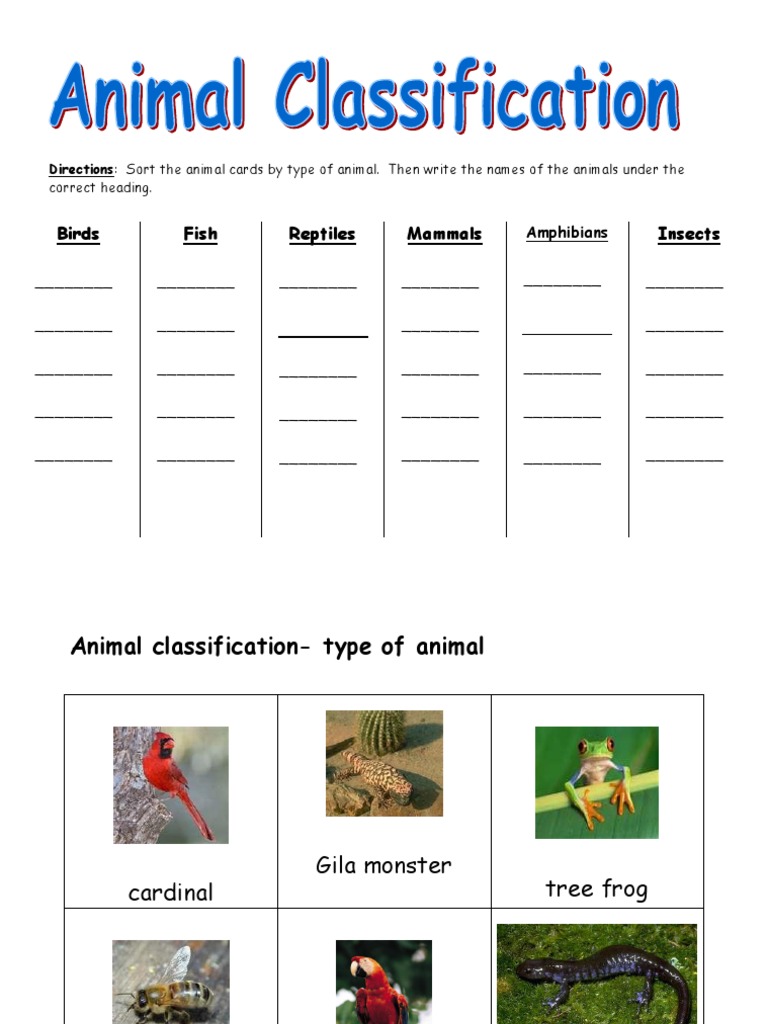 Animal Classification Sort | PDF