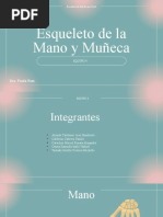 Huesos y Articulaciones de La Mano y Muñeca | PDF | Mano | Extremidades ...