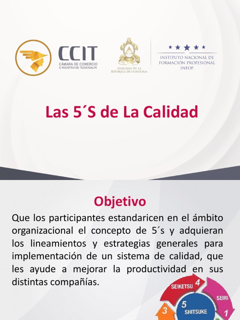 5 S de La Calidad | PDF | Liderazgo