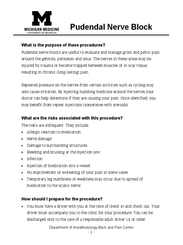 Pudendal Nerve Block | PDF | Pain | Injection (Medicine)