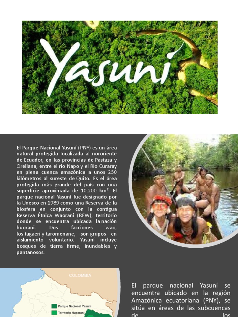 Características del Parque Nacional Yasuní | PDF | Ciencias de la ...