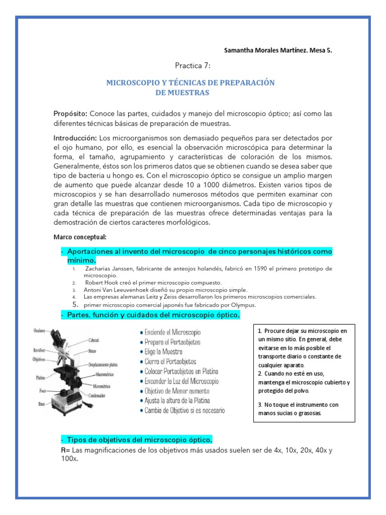 Practica MICROSCOPIO Y TÉCNICAS DE PREPARACIÓN DE MUESTRAS | PDF ...