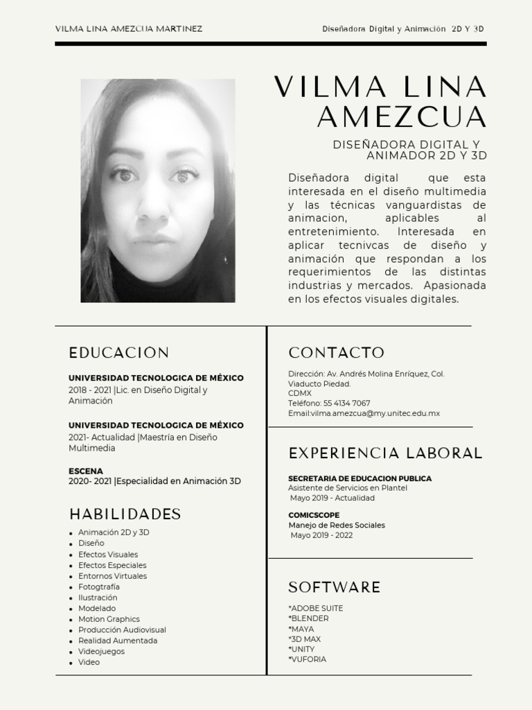 CV Vilma | PDF | Animación | Multimedia