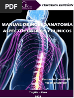 Guía de Reparos Anatómicos Óseos | PDF