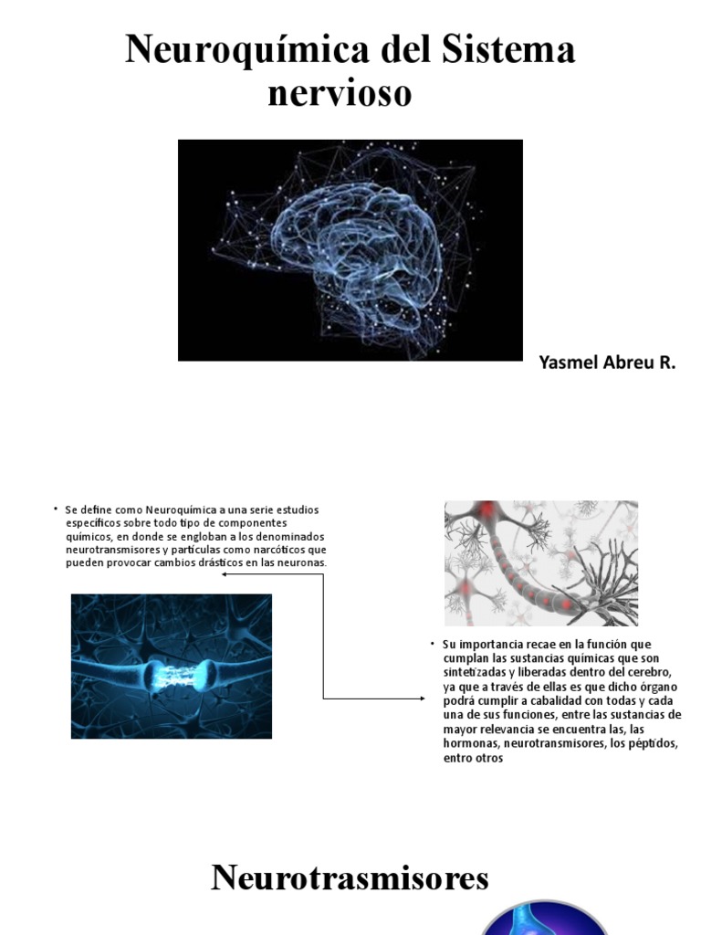 Neuroquímica del Sistema nervioso: Una introducción a los ...