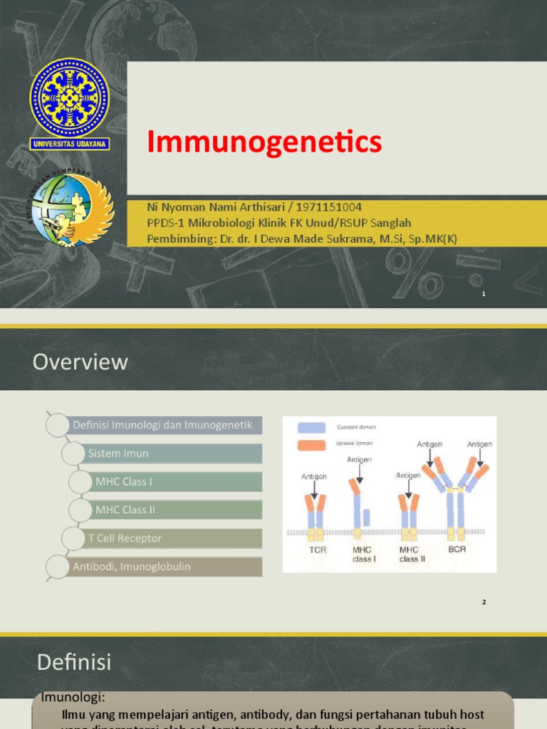 Nami - Immunogenetics - Ni Nyoman Nami Arthisari | PDF | Major Histocompatibility Complex | Antibody
