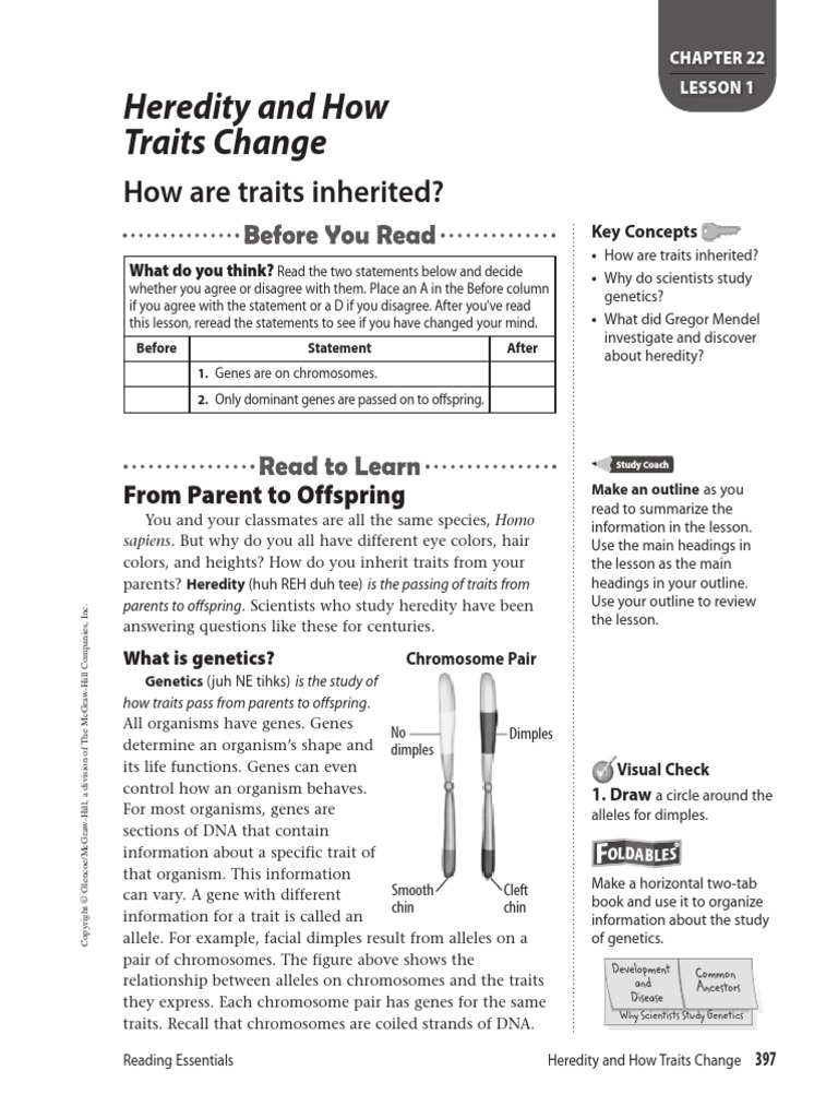 3rd Term Lesson 4 Heredity - 9A | PDF | Heredity | Life Sciences