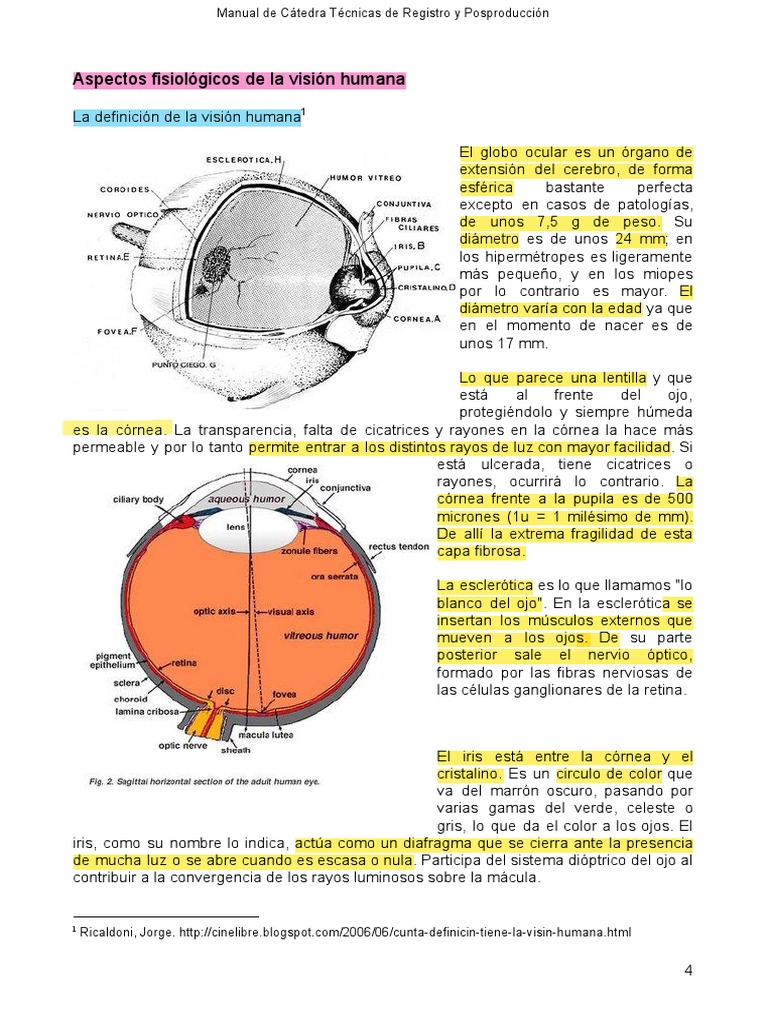 Manual TRyP 01 - Fisología de La Visión | PDF | Ojo humano | Percepción visual