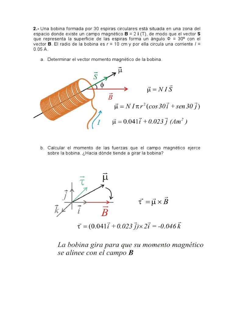 Cálculo del momento magnético y momento de fuerzas sobre bobinas y ...