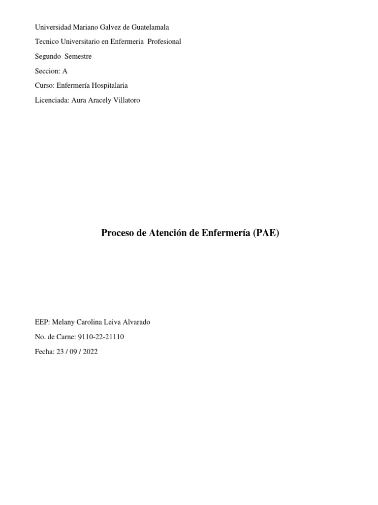 Machote de Pae 1 | PDF | Enfermería | Hospital