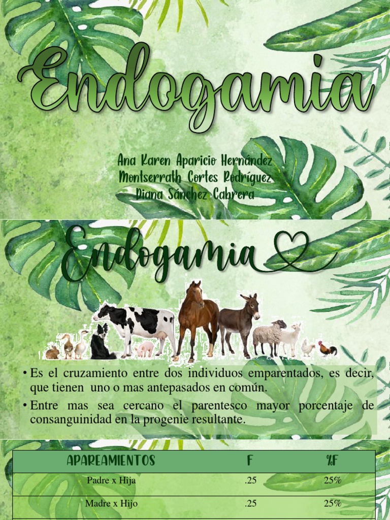 ENDOGAMIA | PDF | Endogamia | Evolución biológica