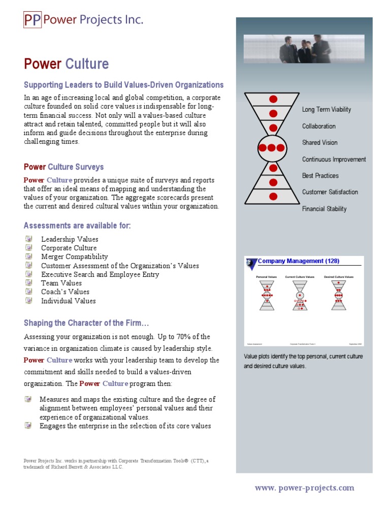 Power Culture | PDF | Organizational Culture | Leadership