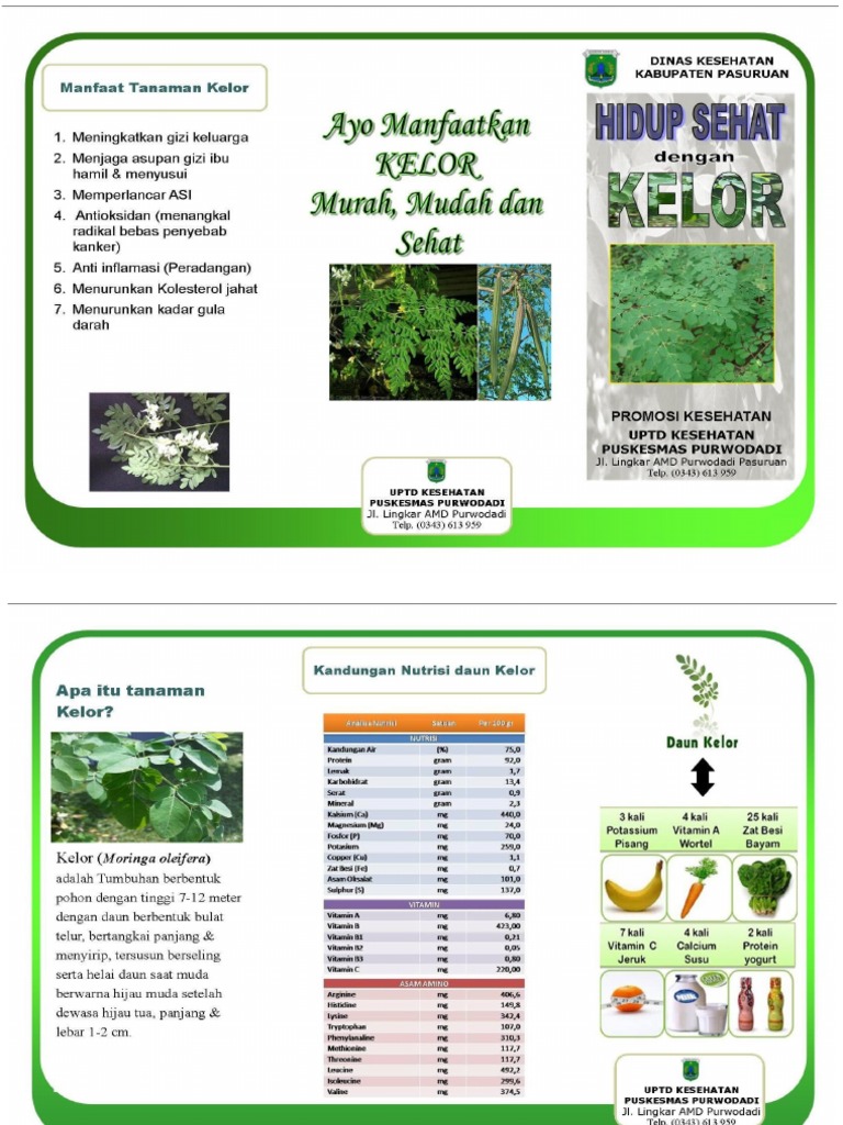 Leaflet Kelor - Manfaatnya | PDF