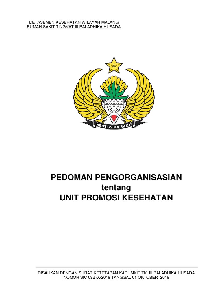 Ep 1 Pedoman Pengorganisasian Unit Promkes Fix | PDF