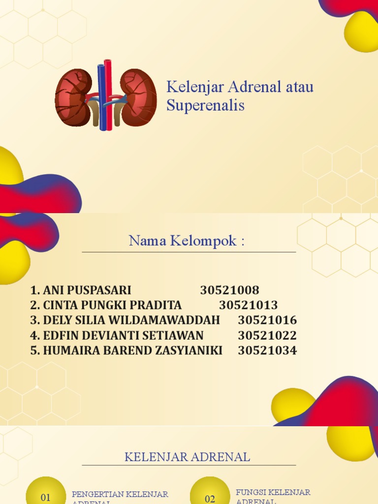 Kelenjar Adrenal | PDF