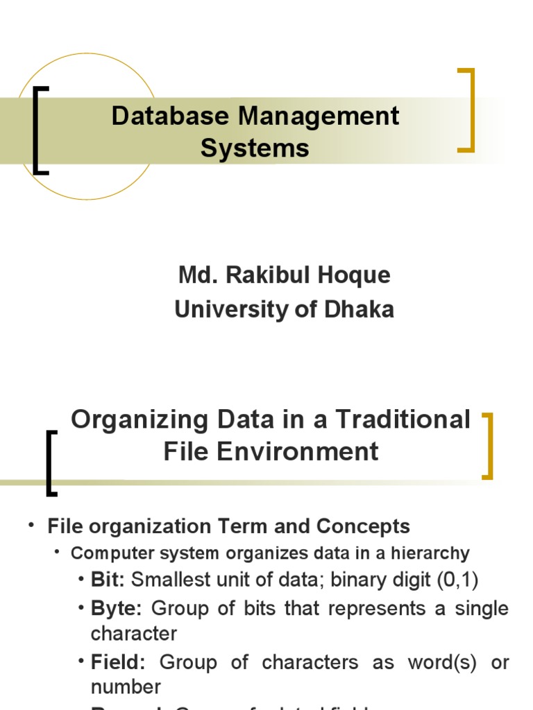 Mis Database Lecture 1 Pdf Databases Conceptual Model