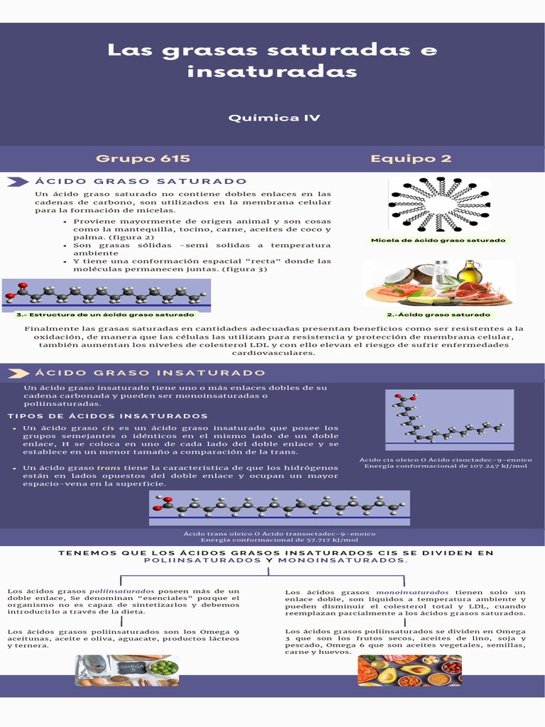 Las Grasas Saturadas e Insaturadas | PDF | Ácido graso | Dieta y nutrición