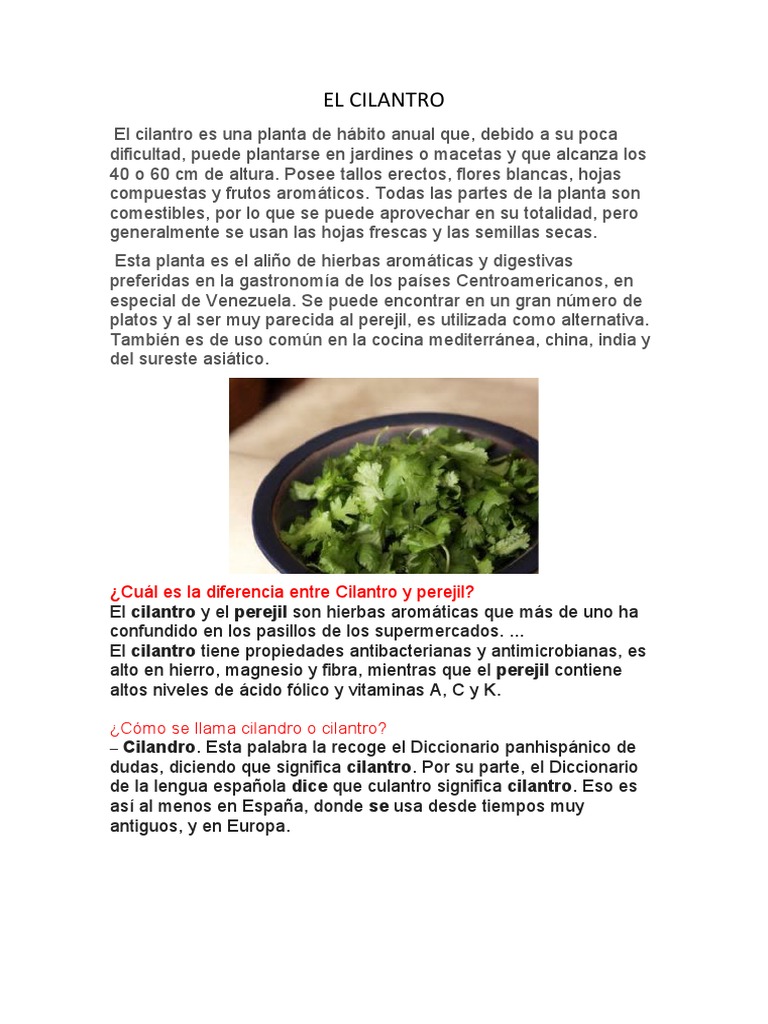 Origen y características del cilantro | PDF | Cilantro | Cocina