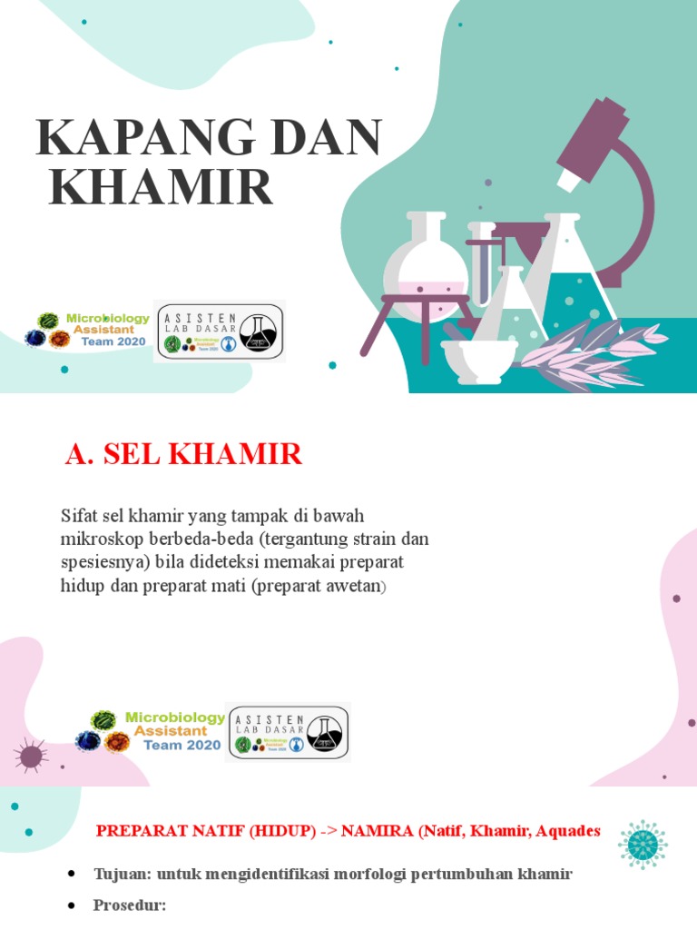 Kapang Dan Khamir | PDF | Kesehatan Holistik | Sains & Matematika