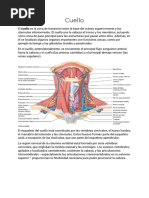 Anatomía del Cuello: Estructuras y Regiones | PDF | Anatomía humana ...