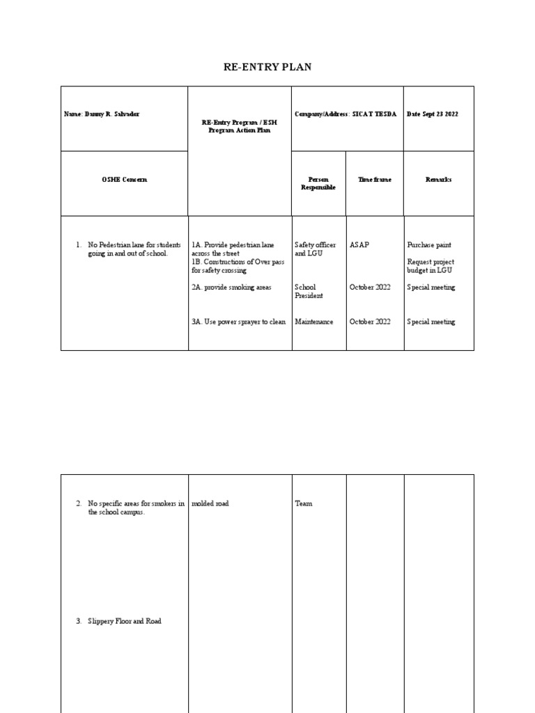 RE ENTRY PLAN FORM | PDF