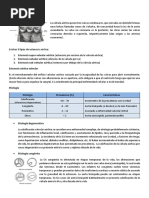Fisiología y Anatomía Quirúrgicadela Arteria Mamaria Interna | PDF ...