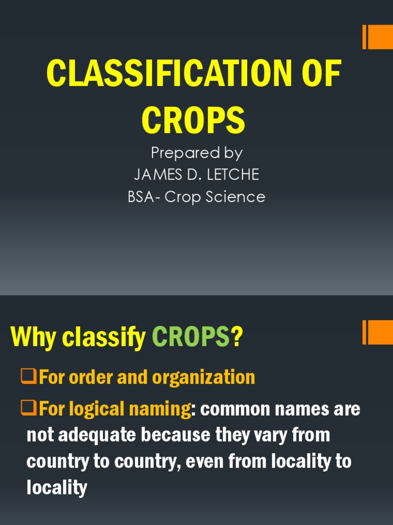 Crop Classification by Morphology | PDF | Fruit | Plant Morphology