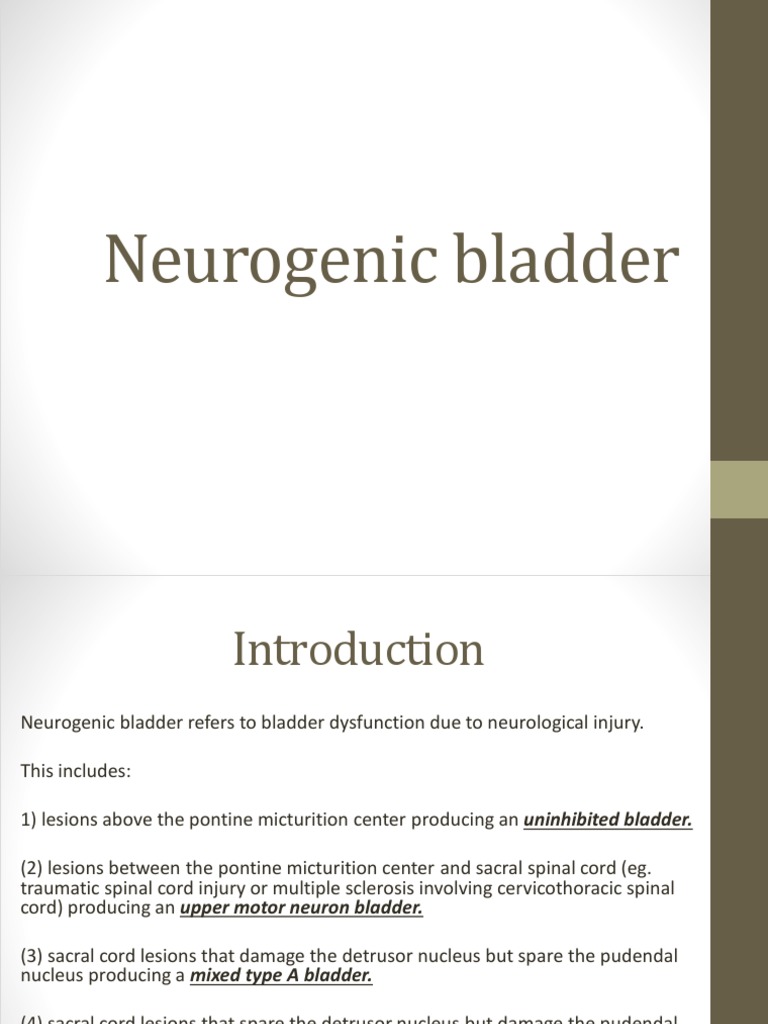 Neuro-Urology-ppt | PDF | Urinary Incontinence | Urination