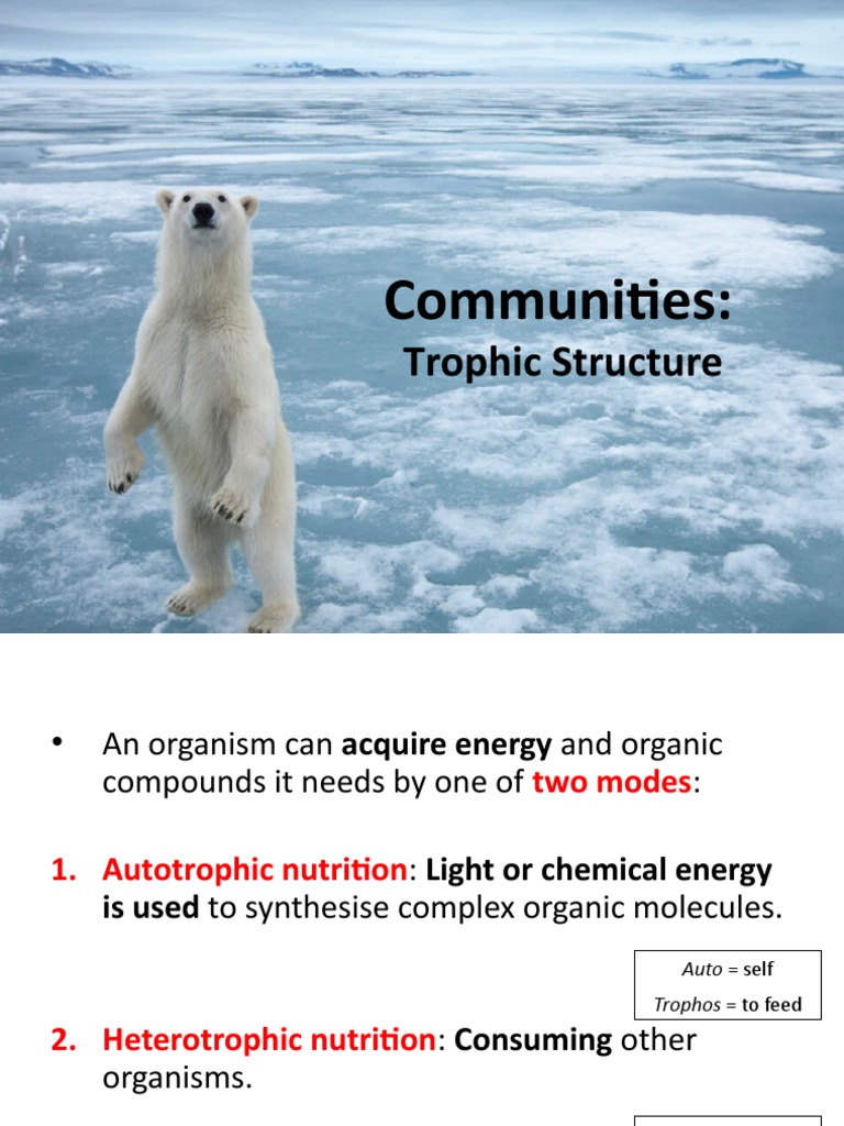Communities - Trophic Structure 2 | PDF | Food Web | Ecosystem