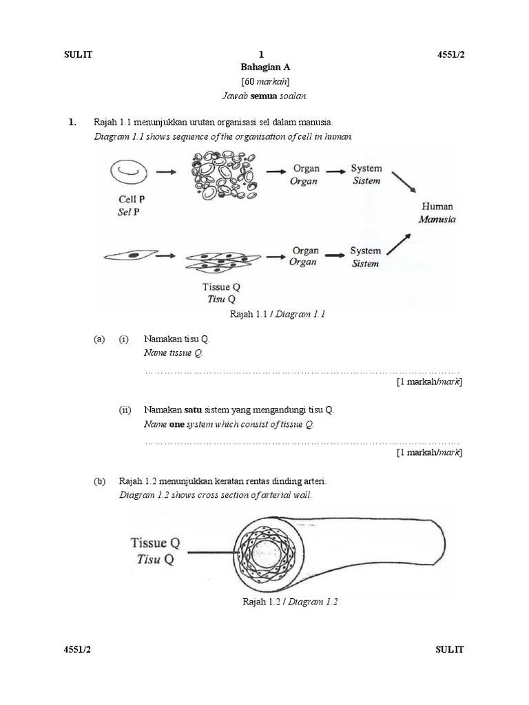 2022 PPT Bio K2 | PDF