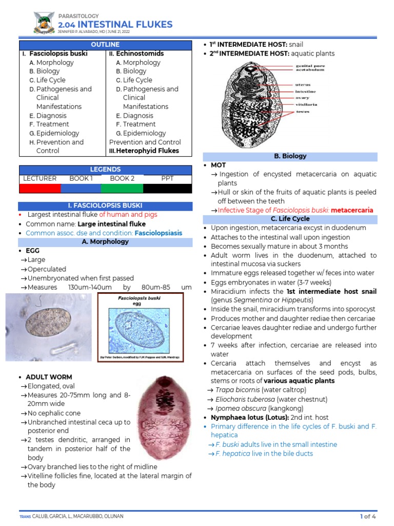 (PARA) 2.04 - Intestinal Flukes - Dr. Alvarado | PDF | Clinical ...
